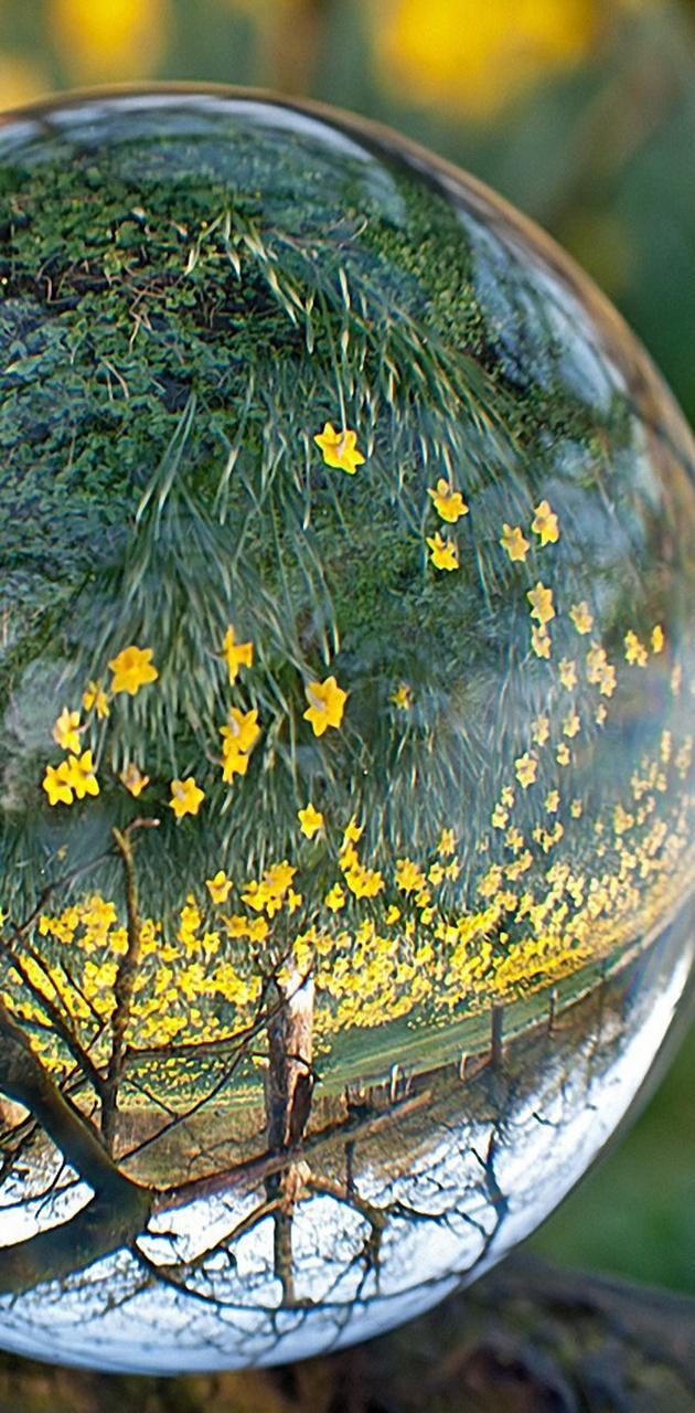 Glass Marbles Wallpapers - Top Free Glass Marbles Backgrounds ...