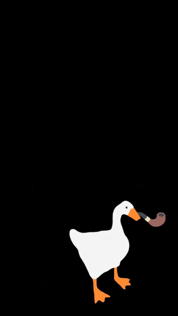 Funny Goose Wallpapers - Top Free Funny Goose Backgrounds - WallpaperAccess