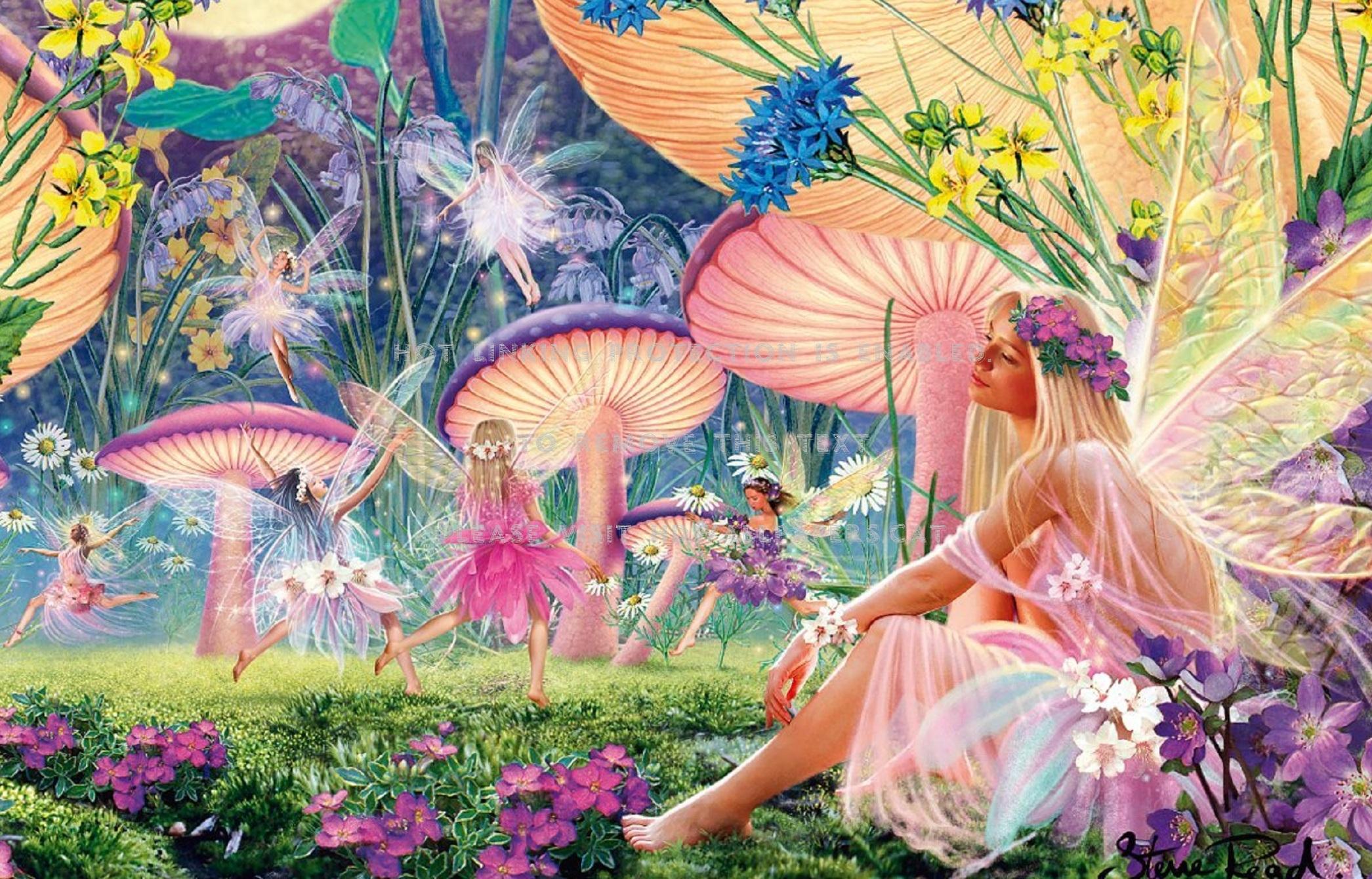 Garden Fairies Wallpapers - Top Free Garden Fairies Backgrounds - WallpaperAccess