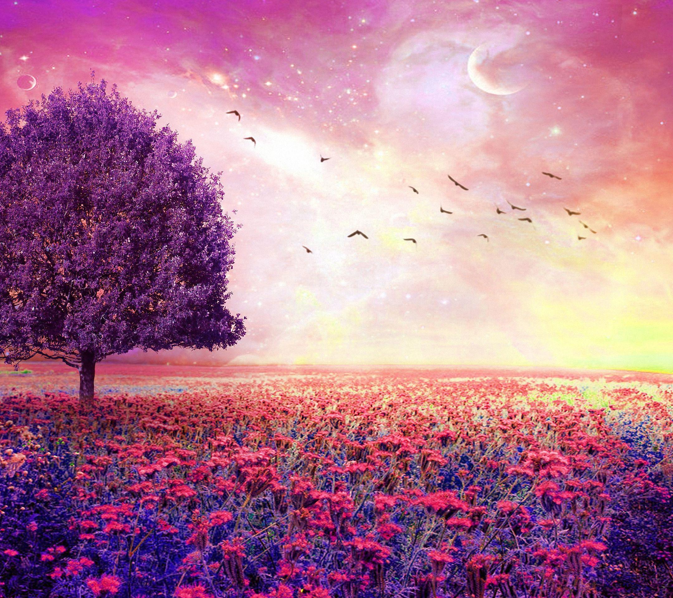Garden Fairies Wallpapers - Top Free Garden Fairies Backgrounds ...