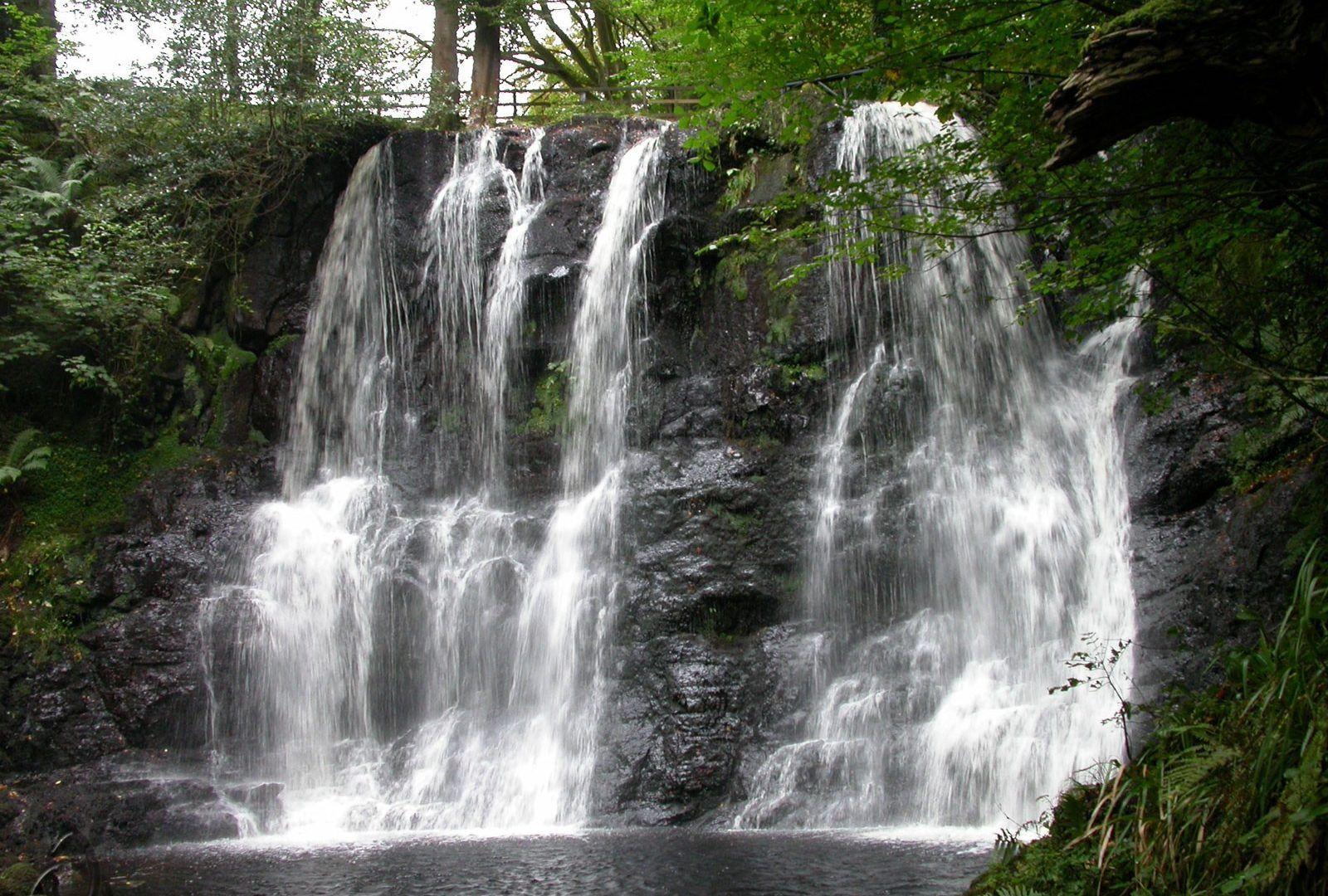 Ireland Forest Desktop Wallpapers - Top Free Ireland Forest Desktop ...