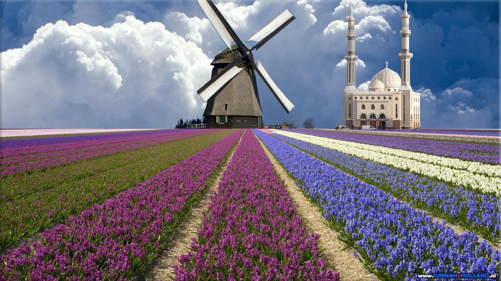 Dutch Windmill Wallpapers - Top Free Dutch Windmill Backgrounds ...