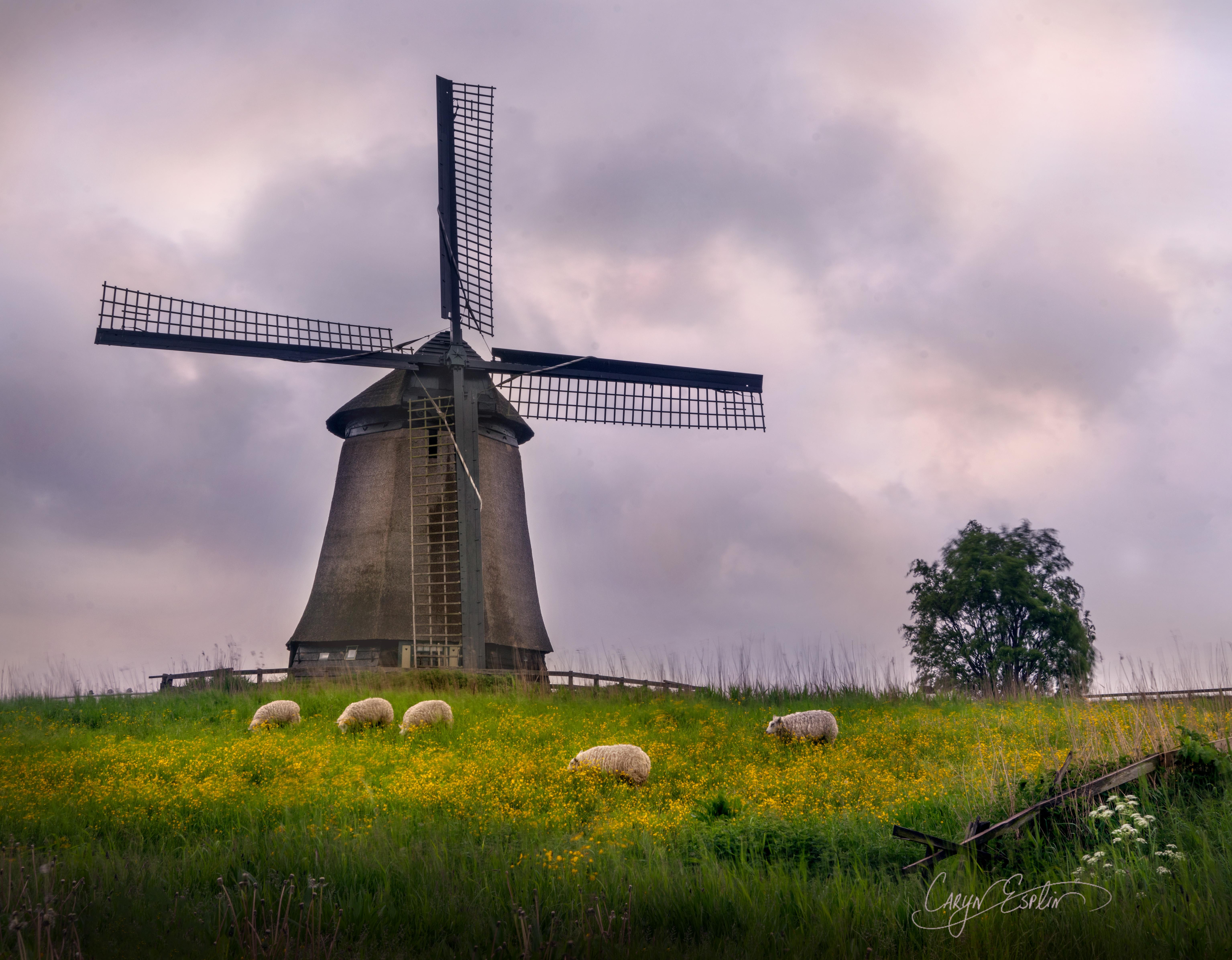 Dutch Windmill Wallpapers - Top Free Dutch Windmill Backgrounds - WallpaperAccess