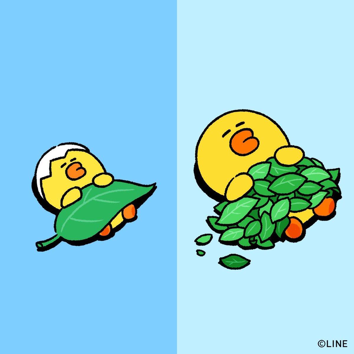 Line Friends Sally Wallpapers - Top Free Line Friends Sally Backgrounds ...