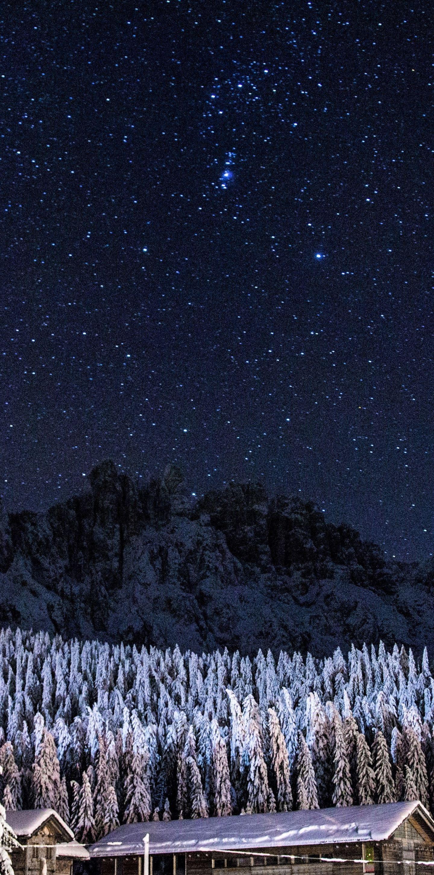 Forest Galaxy Wallpapers - Top Free Forest Galaxy Backgrounds ...