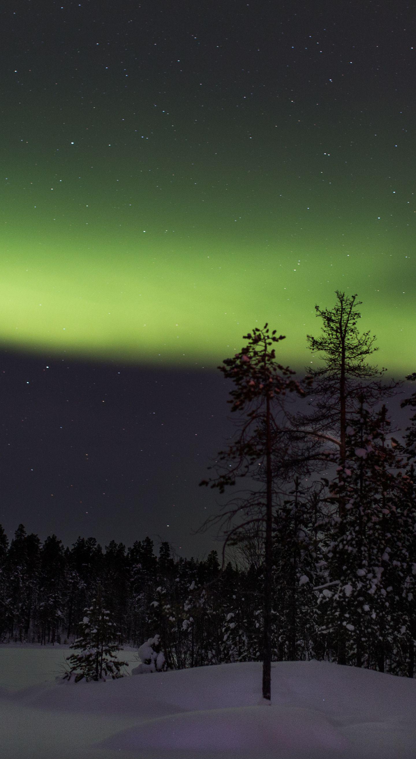 Forest Galaxy Wallpapers - Top Free Forest Galaxy Backgrounds ...