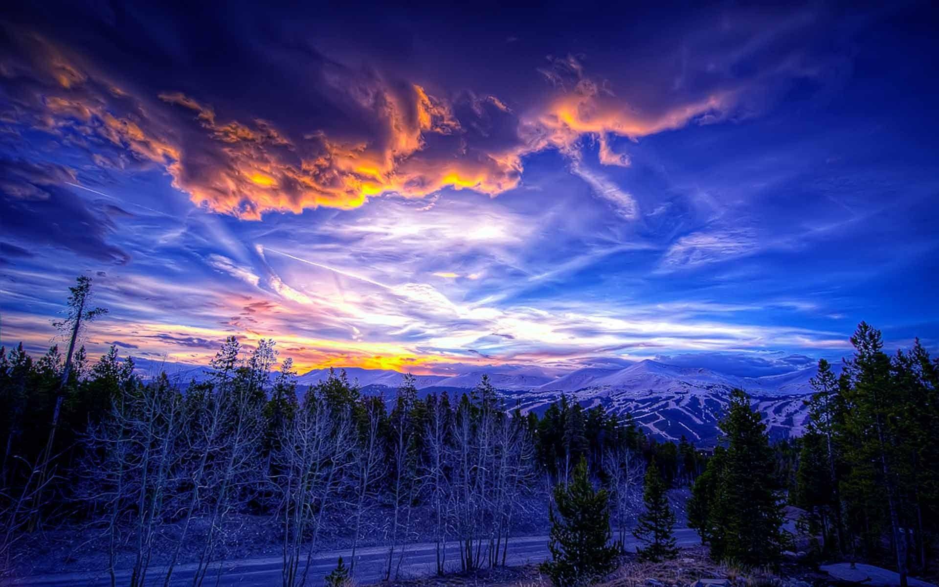 Forest Galaxy Wallpapers - Top Free Forest Galaxy Backgrounds ...