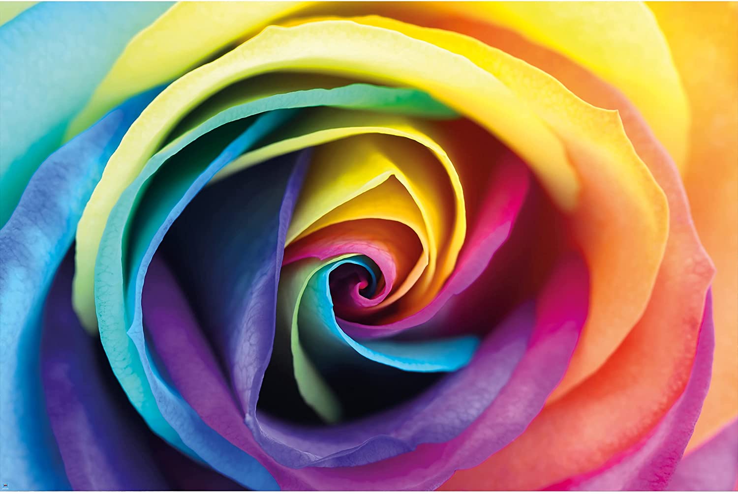 Colorful Nature Flowers Wallpapers - Top Free Colorful Nature Flowers ...