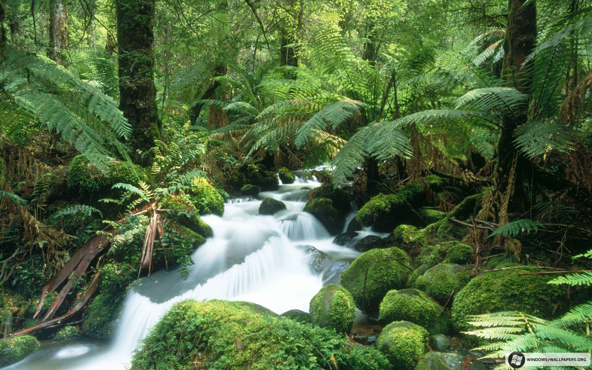 Super High Resolution Nature Wallpapers - Top Free Super High ...