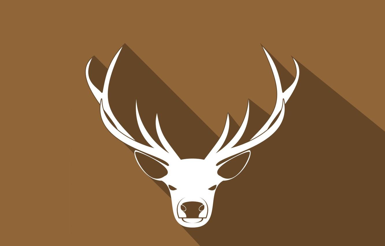 Deer Antler Wallpapers - Top Free Deer Antler Backgrounds - WallpaperAccess