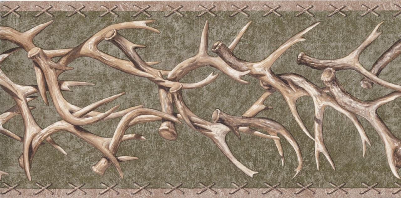 Deer Antler Wallpapers - Top Free Deer Antler Backgrounds - WallpaperAccess