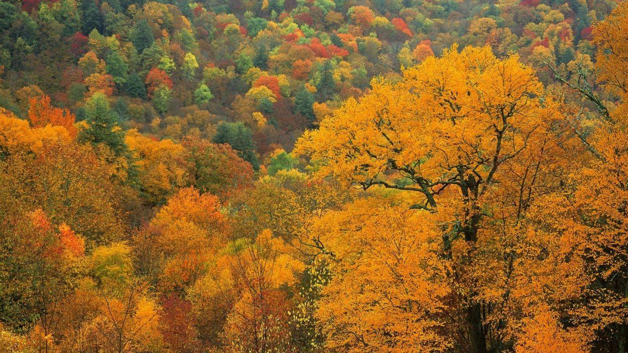 Autumn NC Mountains Wallpapers - Top Free Autumn NC Mountains ...