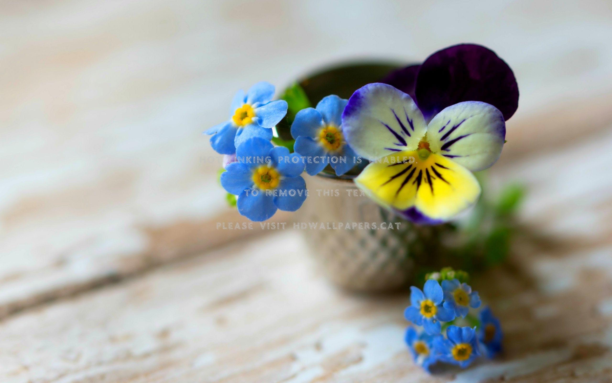 Little Flowers Wallpapers - Top Free Little Flowers Backgrounds ...