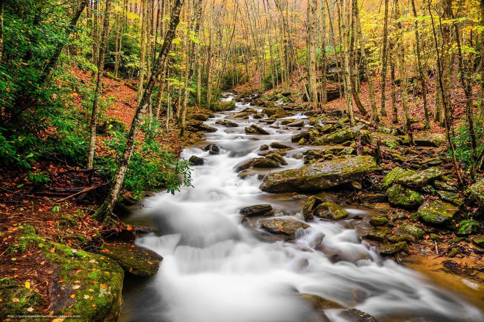 Autumn NC Mountains Wallpapers - Top Free Autumn NC Mountains ...