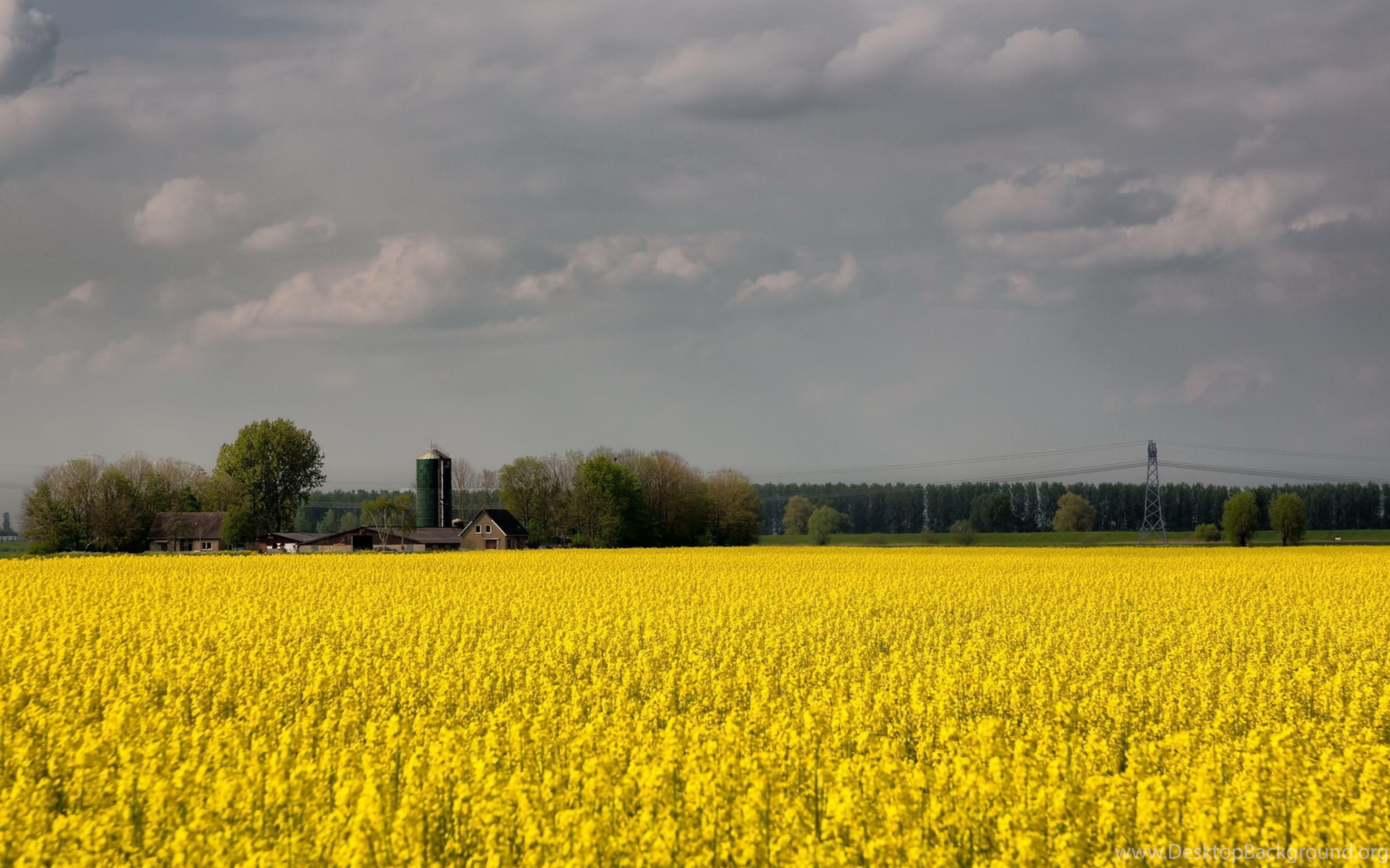 4K Farm Wallpapers - Top Free 4K Farm Backgrounds - WallpaperAccess