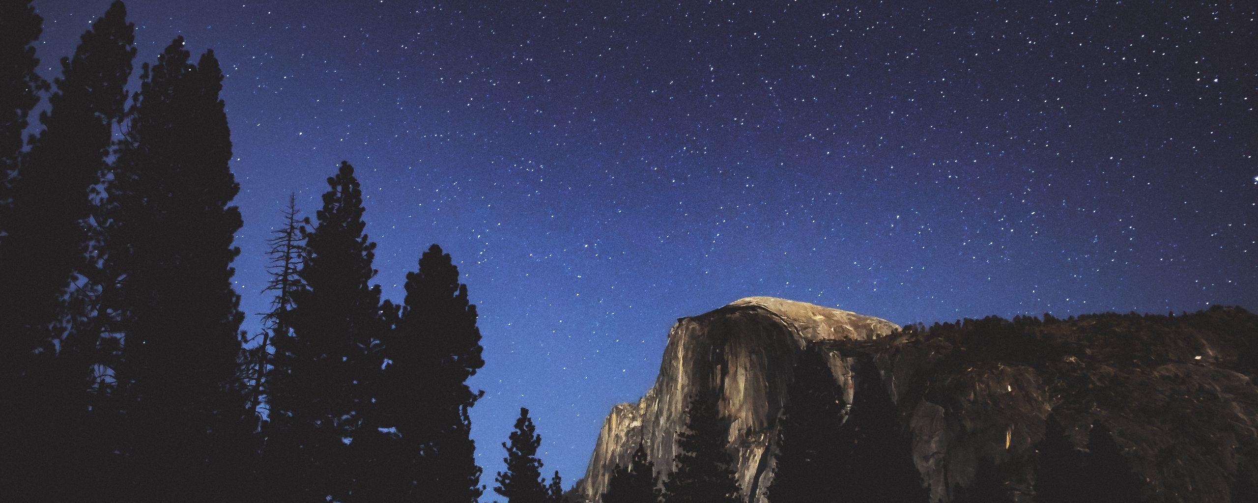 Star Forest Wallpapers - Top Free Star Forest Backgrounds - WallpaperAccess