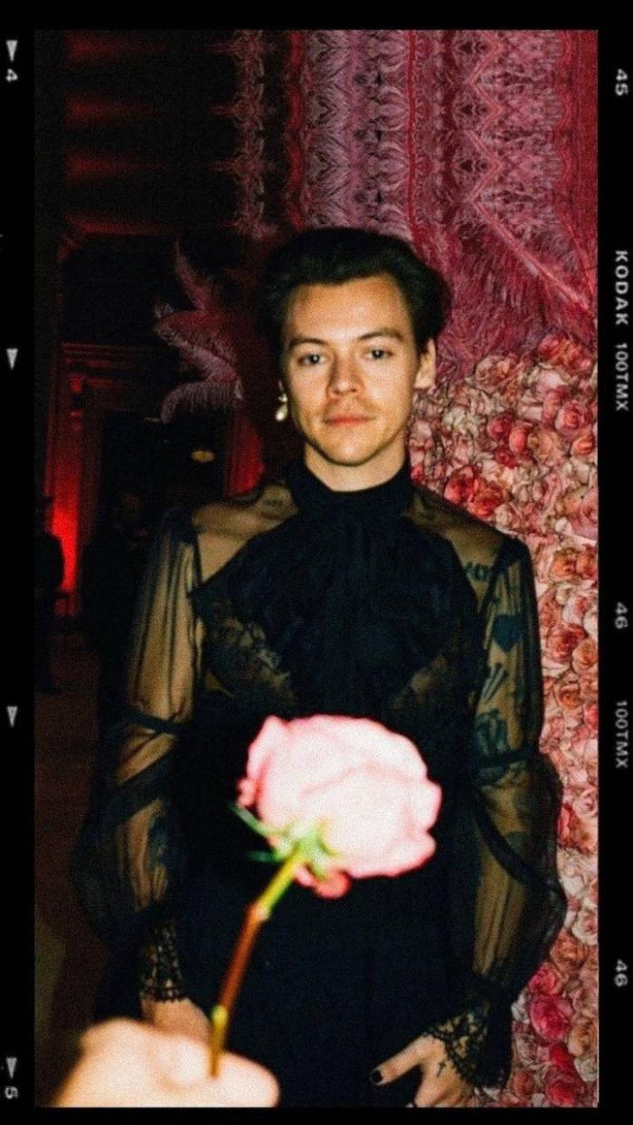 Harry Styles Flower Wallpapers - Top Free Harry Styles Flower ...