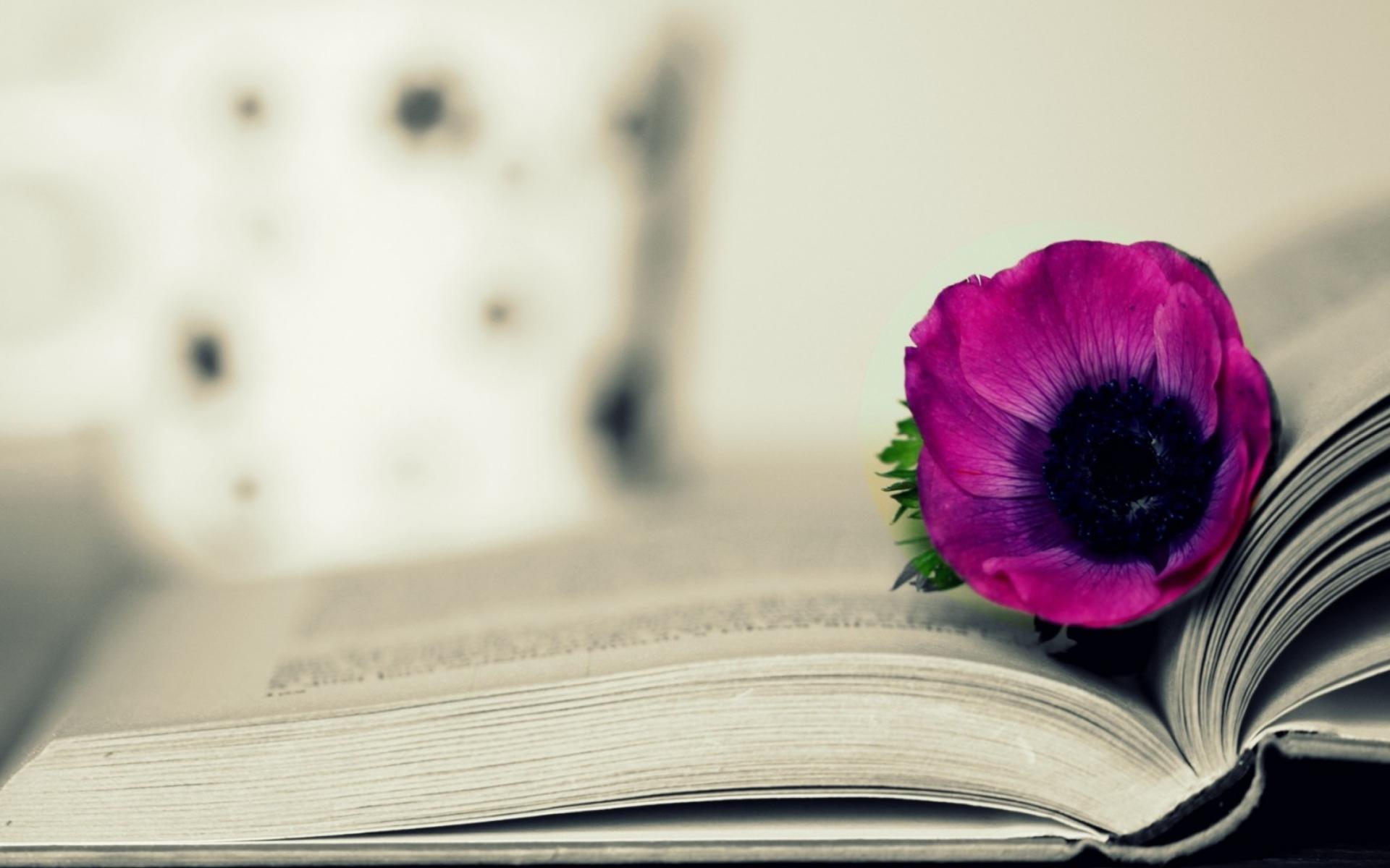 Flowers Books PC Wallpapers - Top Free Flowers Books PC Backgrounds ...