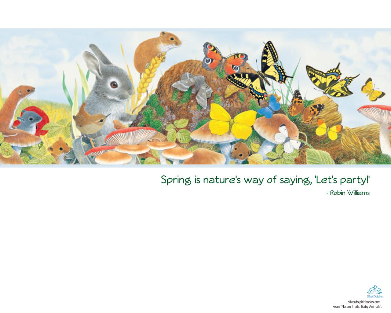 Spring Baby Animals Desktop Wallpapers - Top Free Spring Baby Animals ...