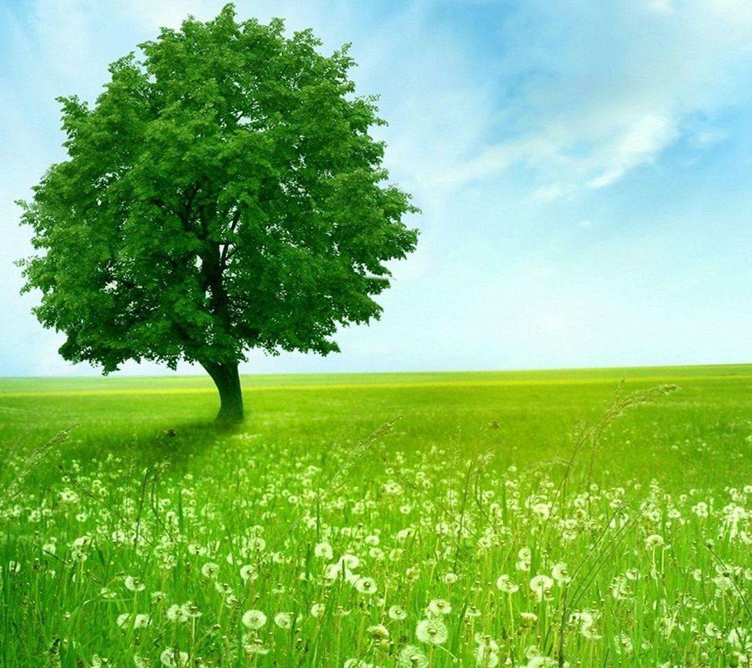 1080 X 960 Wallpapers - Top Free 1080 X 960 Backgrounds - WallpaperAccess