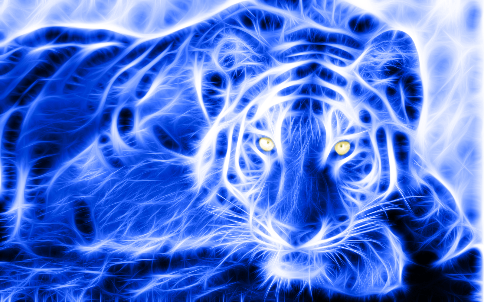 Electric Leopard Wallpapers - Top Free Electric Leopard Backgrounds ...