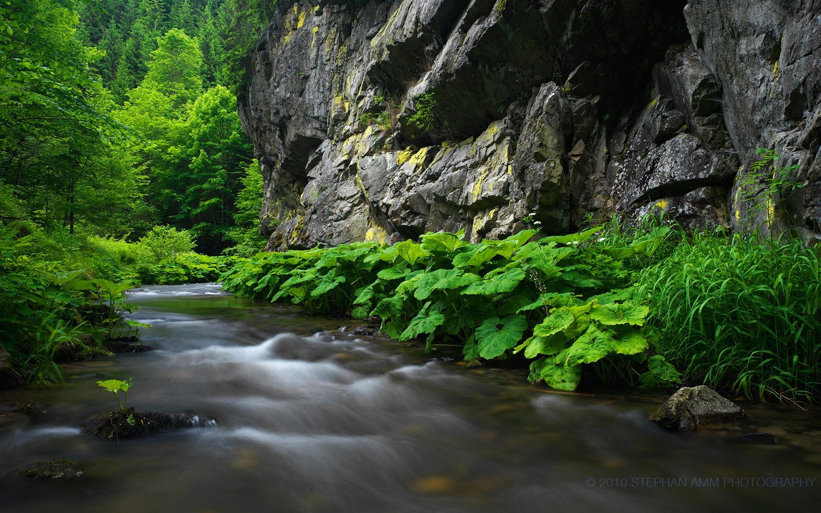 Rivers and Streams Wallpapers - Top Free Rivers and Streams Backgrounds ...