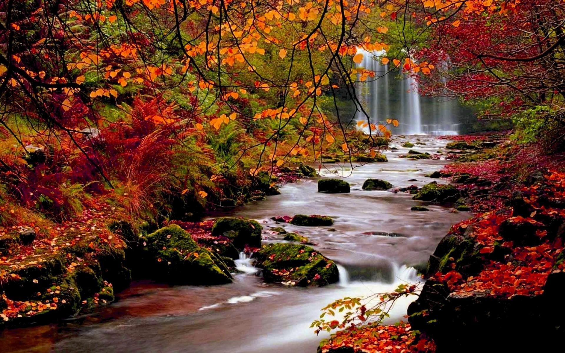 Rivers and Streams Wallpapers - Top Free Rivers and Streams Backgrounds ...