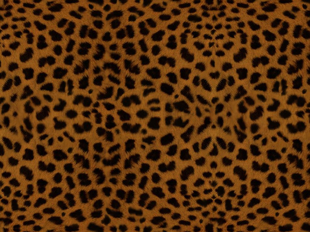 Electric Leopard Wallpapers - Top Free Electric Leopard Backgrounds ...