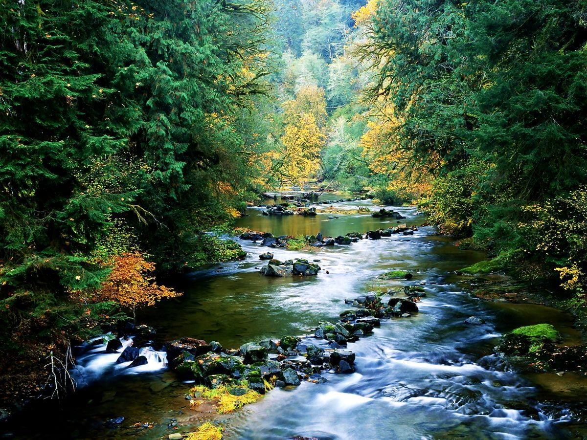 Rivers and Streams Wallpapers - Top Free Rivers and Streams Backgrounds ...
