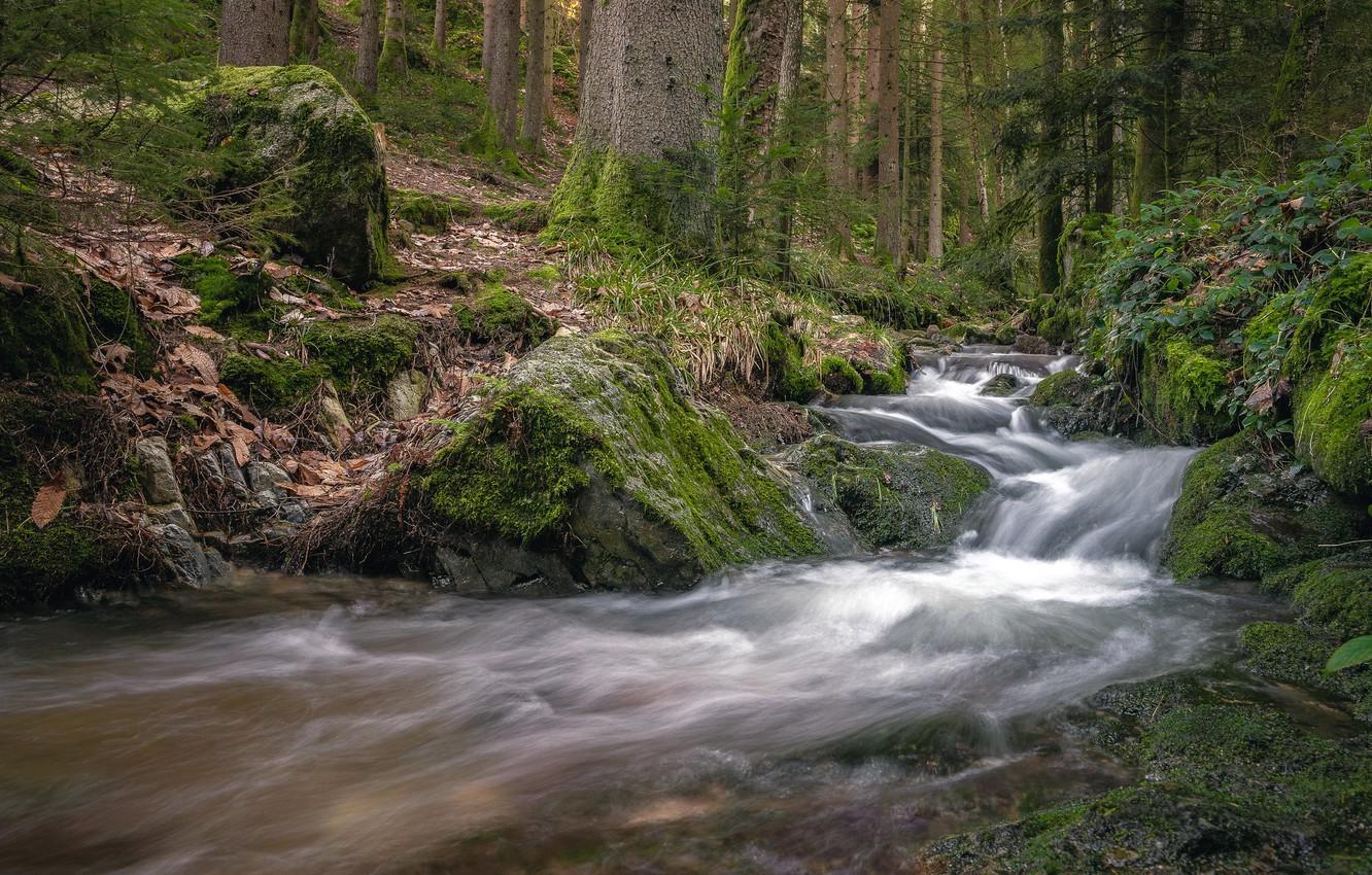 Rivers and Streams Wallpapers - Top Free Rivers and Streams Backgrounds ...