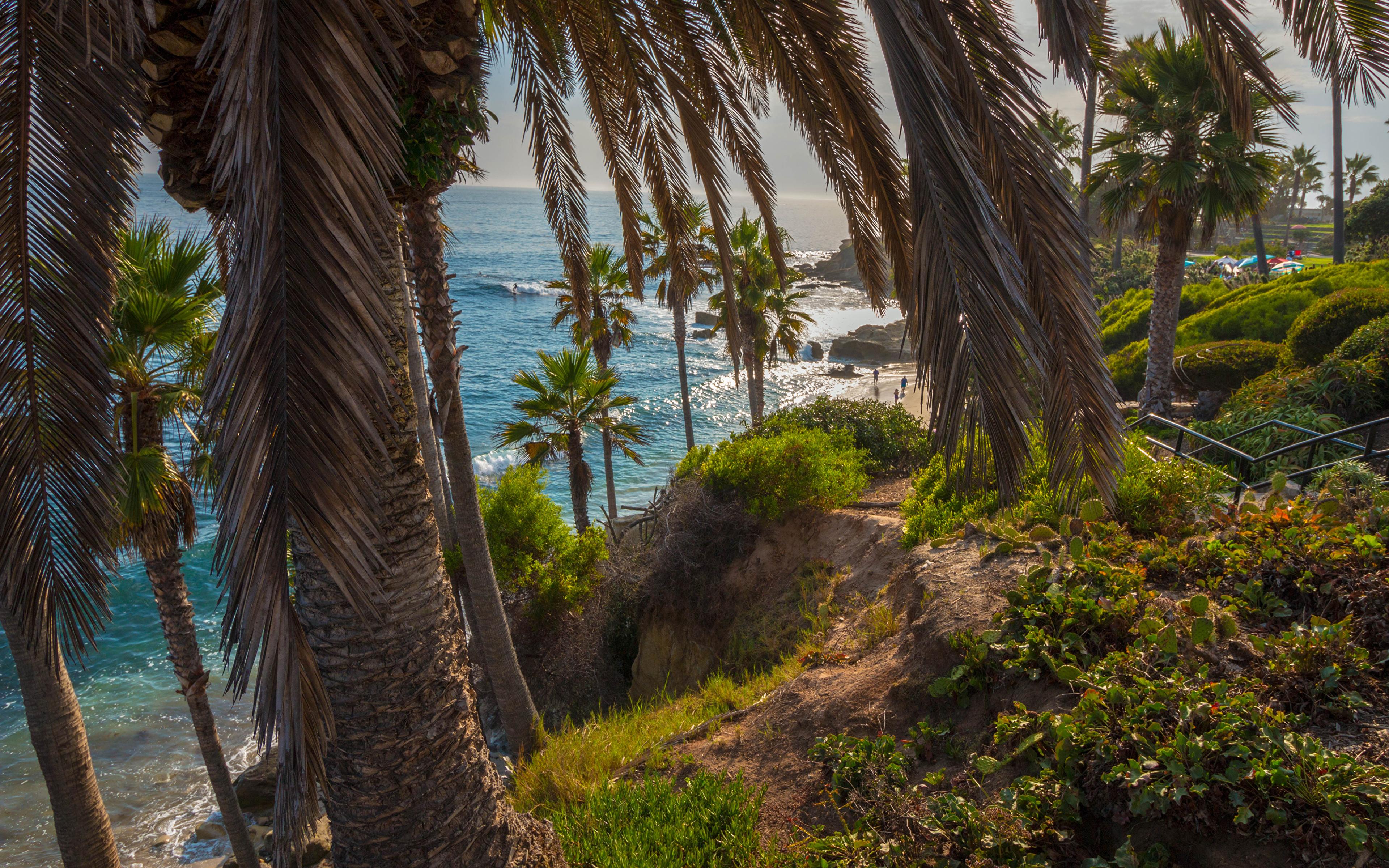 Laguna Beach HD Wallpapers - Top Free Laguna Beach HD Backgrounds ...