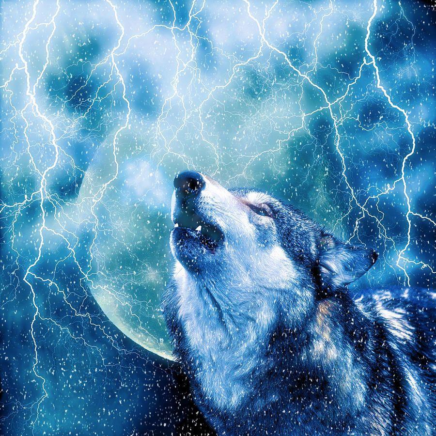 Blue Lightning Wolf Wallpapers - Top Free Blue Lightning Wolf Backgrounds - WallpaperAccess