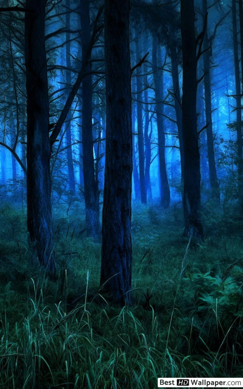 Dark Nature Samsung Wallpapers - Top Free Dark Nature Samsung ...