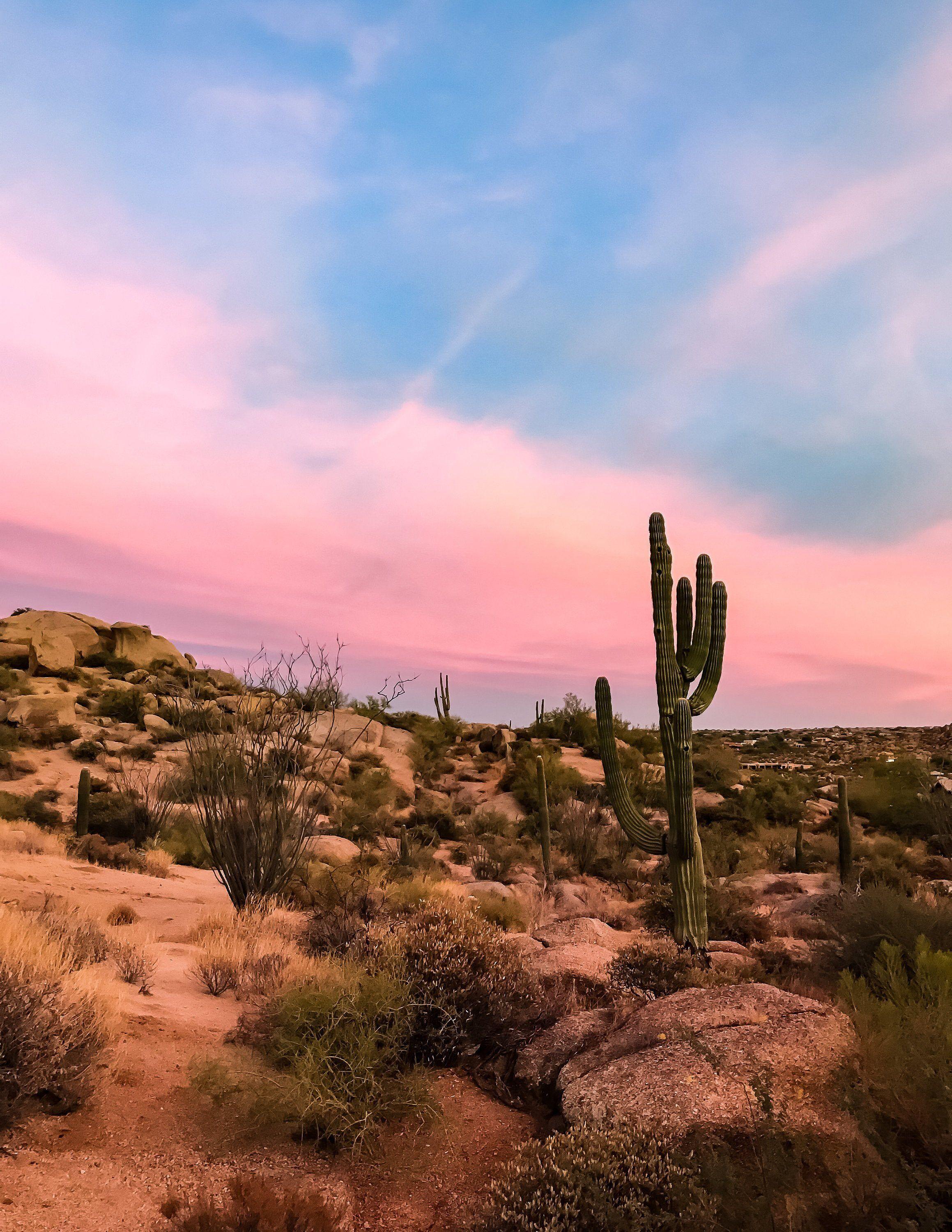 Tucson Desert Wallpapers - Top Free Tucson Desert Backgrounds ...