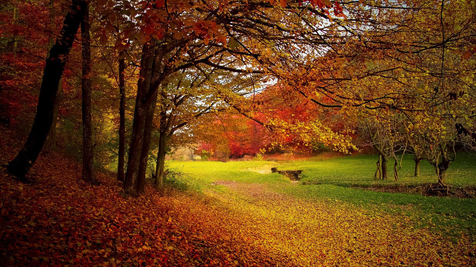 1600X900 Fall Wallpapers - Top Free 1600X900 Fall Backgrounds ...