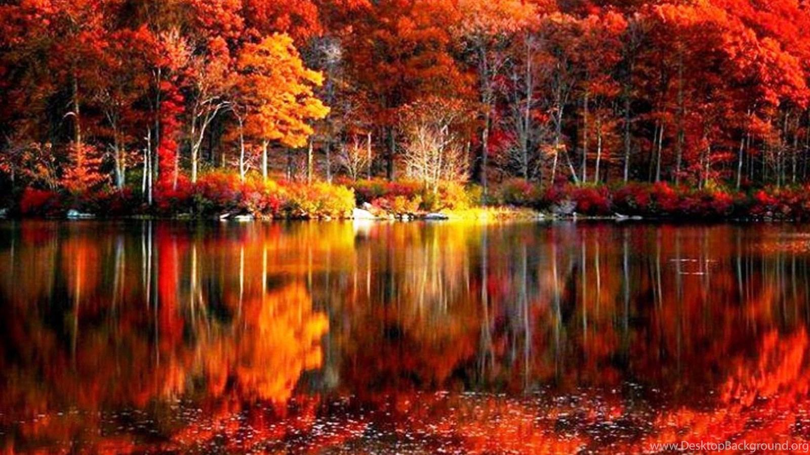 1600X900 Fall Wallpapers - Top Free 1600X900 Fall Backgrounds ...