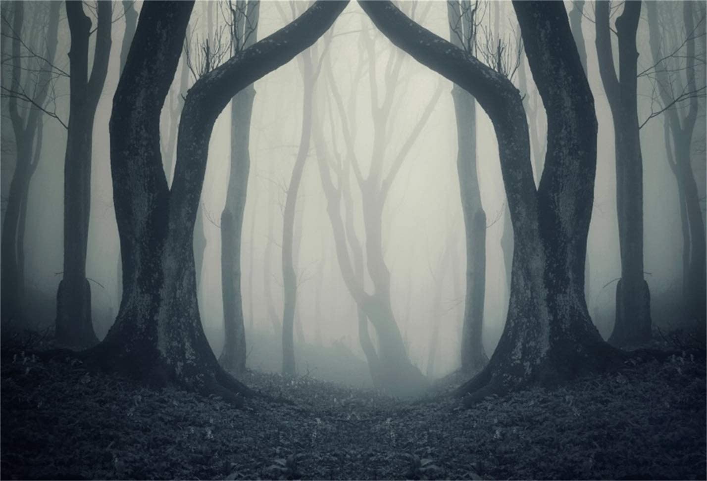 Misty Woods Wallpapers - Top Free Misty Woods Backgrounds - WallpaperAccess