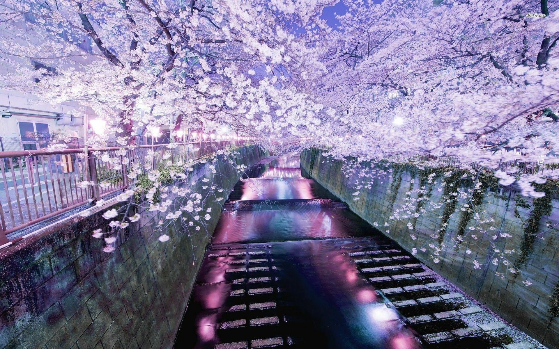 Purple Tokyo Wallpapers - Top Free Purple Tokyo Backgrounds ...