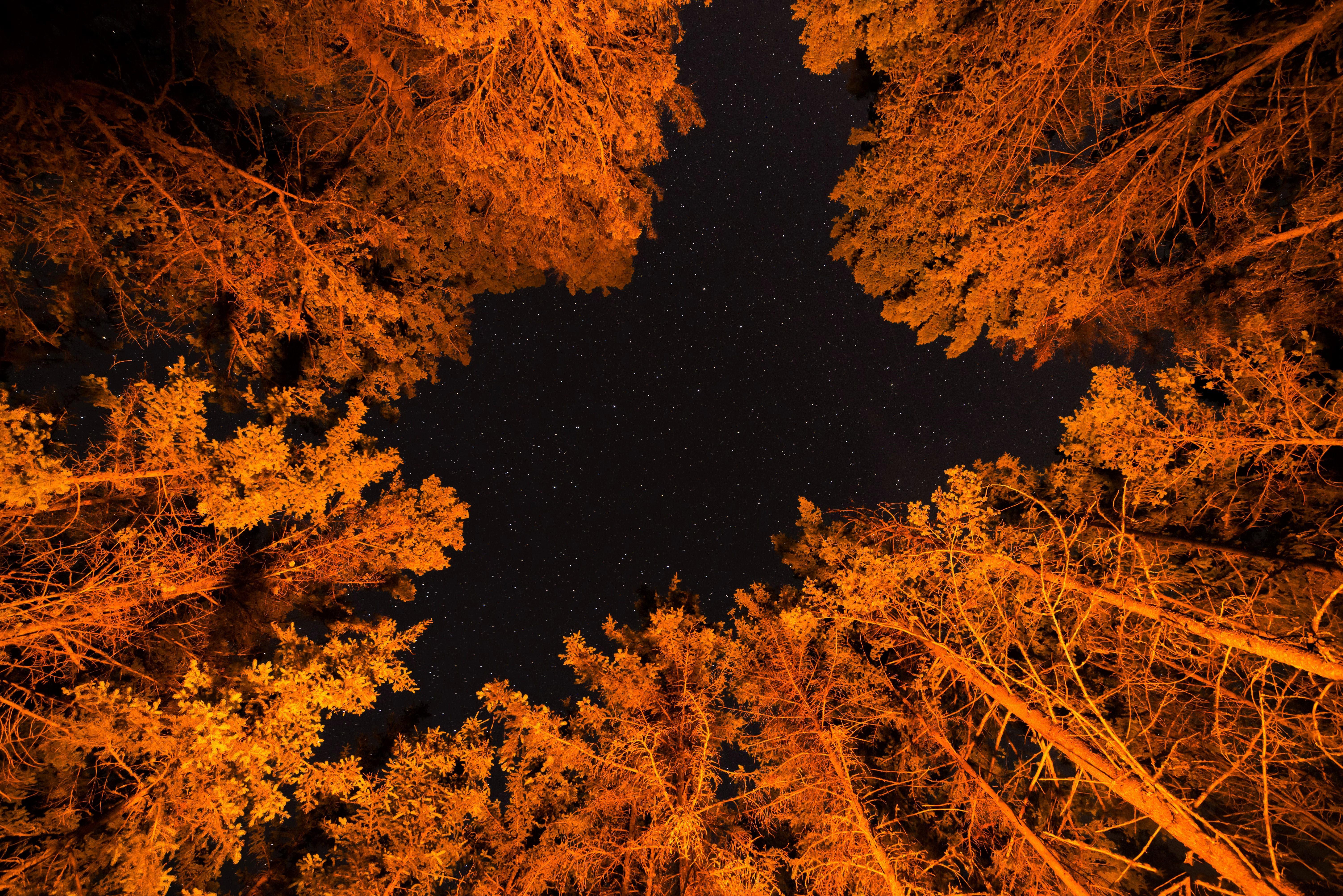 Autumn Night Desktop Wallpapers - Top Free Autumn Night Desktop ...