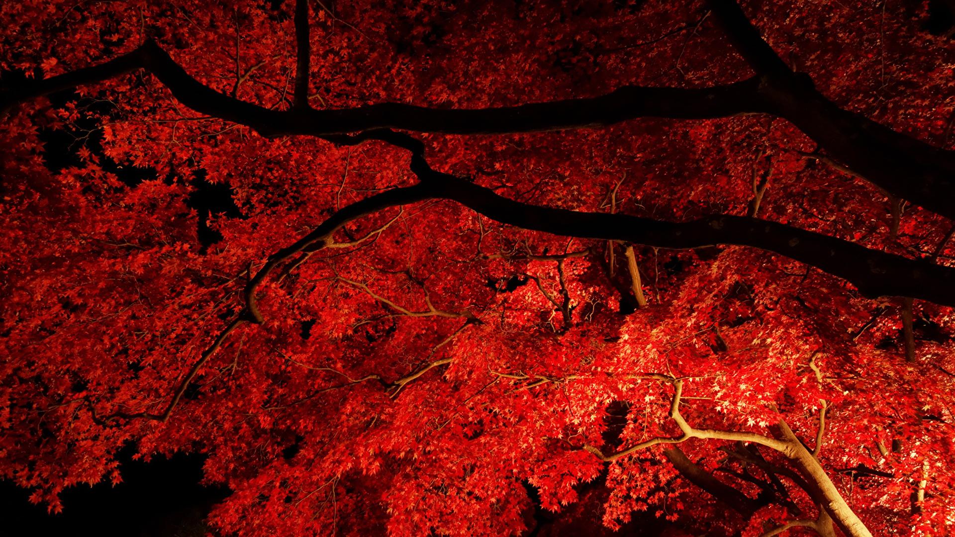 Autumn Night Desktop Wallpapers - Top Free Autumn Night Desktop ...