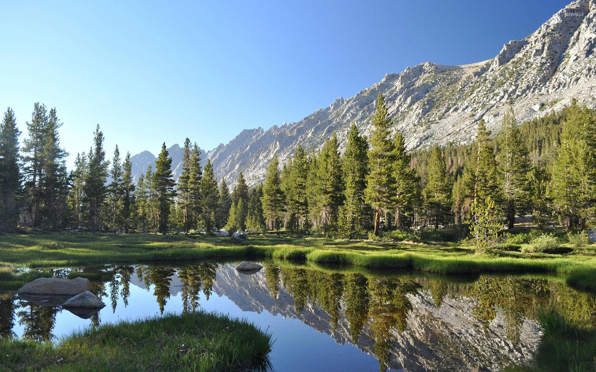 Mountain Trees Wallpapers - Top Free Mountain Trees Backgrounds ...