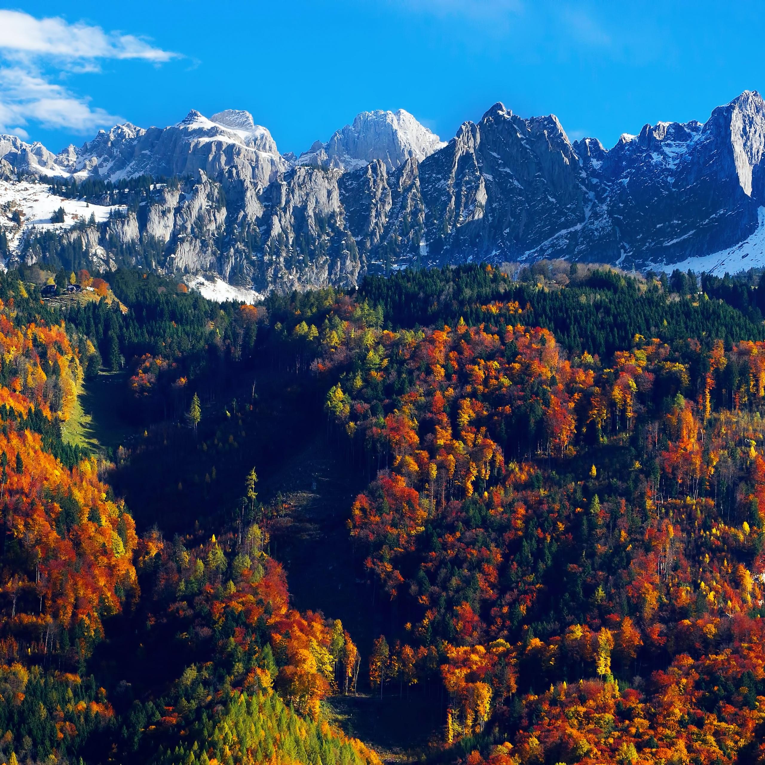 Mountain Trees Wallpapers - Top Free Mountain Trees Backgrounds ...