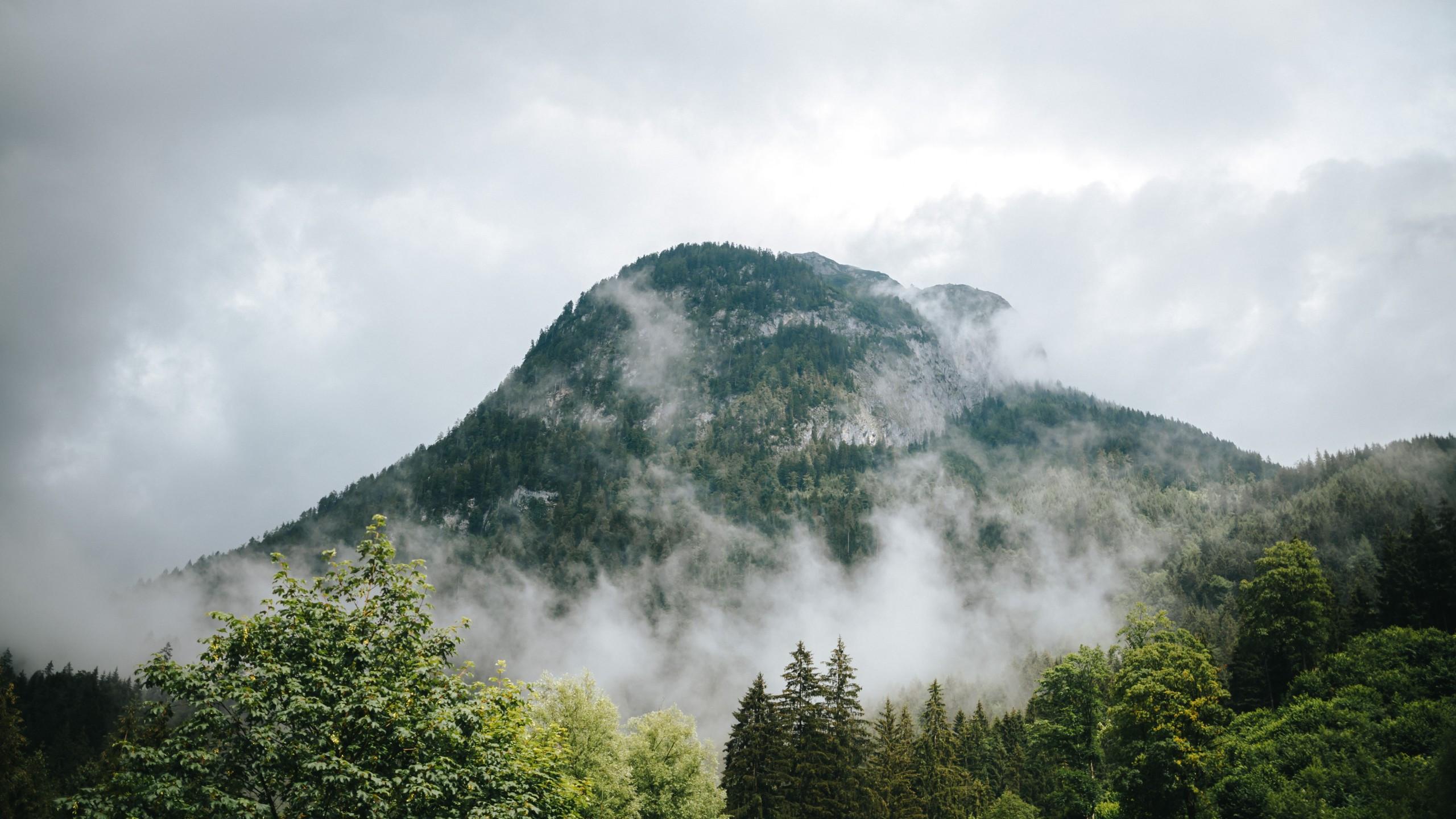 Mountain Trees Wallpapers - Top Free Mountain Trees Backgrounds ...