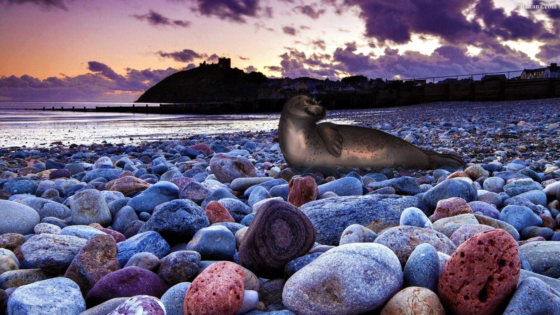 Seal Beach Wallpapers - Top Free Seal Beach Backgrounds - WallpaperAccess