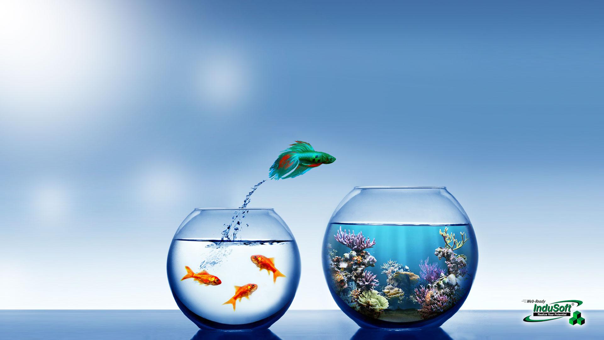Jesus Fish Wallpapers - Top Free Jesus Fish Backgrounds - WallpaperAccess