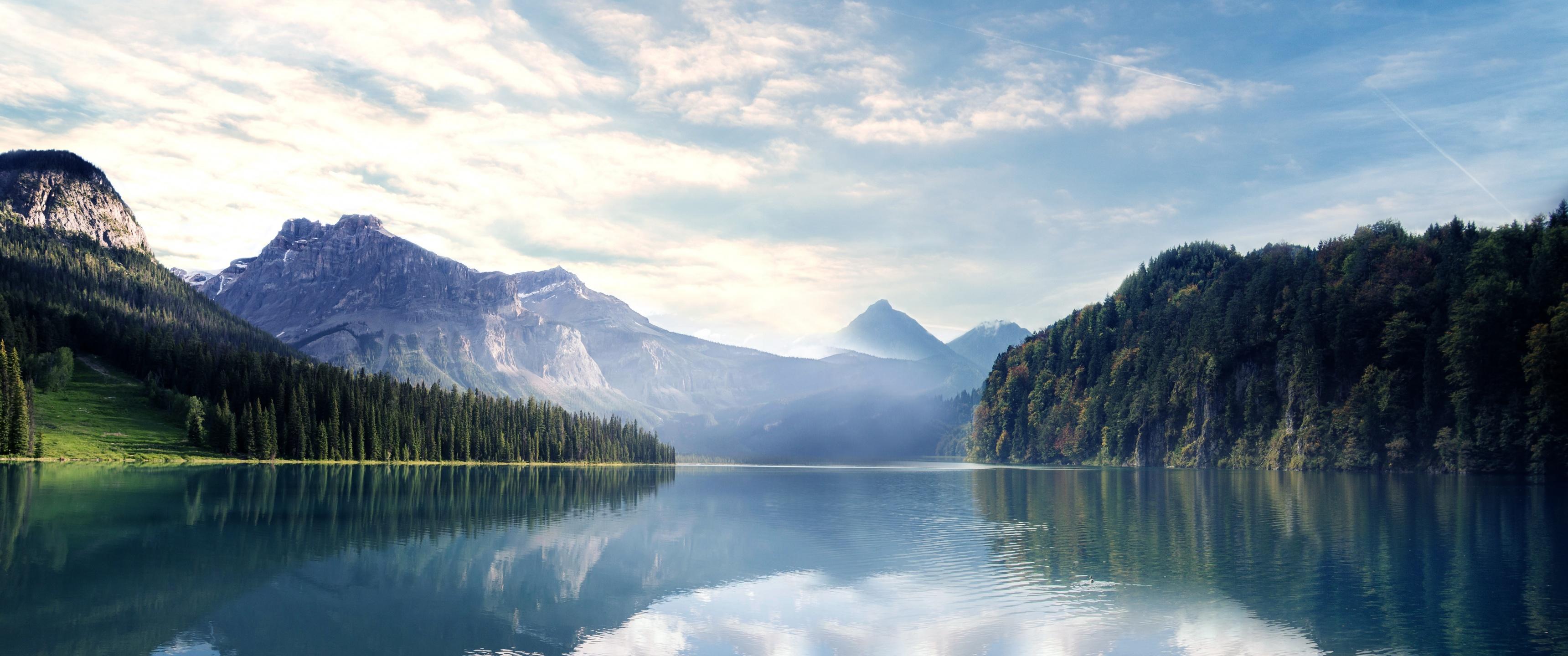 8K Ultra HD Forest Wallpapers - Top Free 8K Ultra HD Forest Backgrounds ...