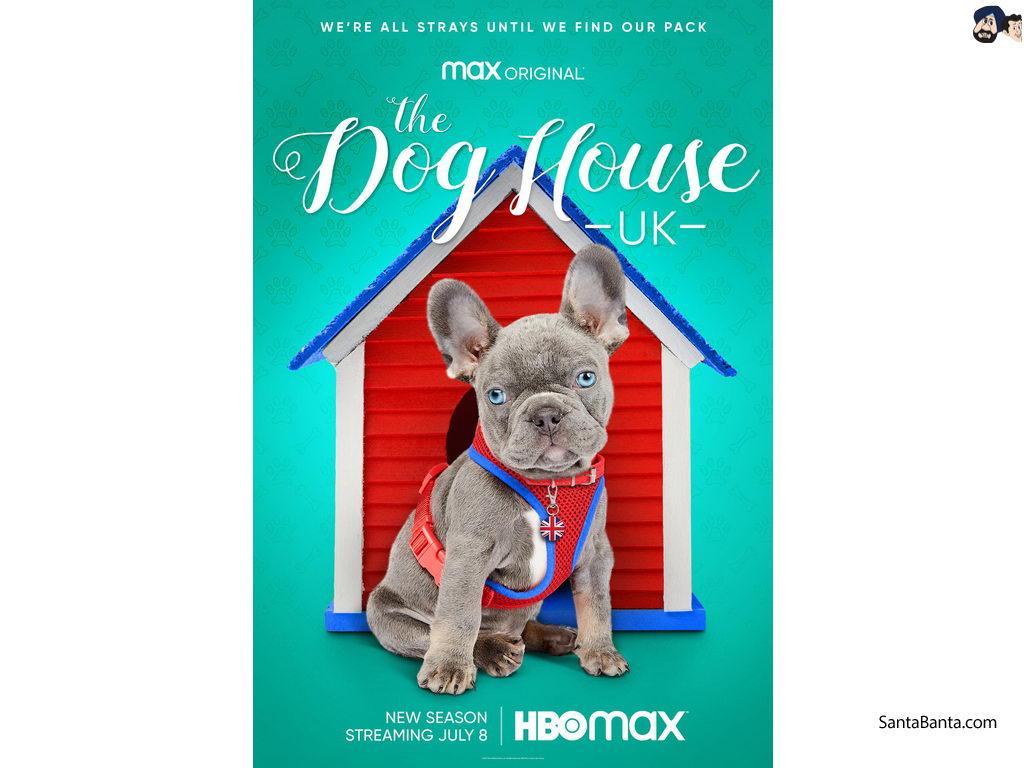 Documentary Wallpapers - Top Free Documentary Backgrounds - WallpaperAccess