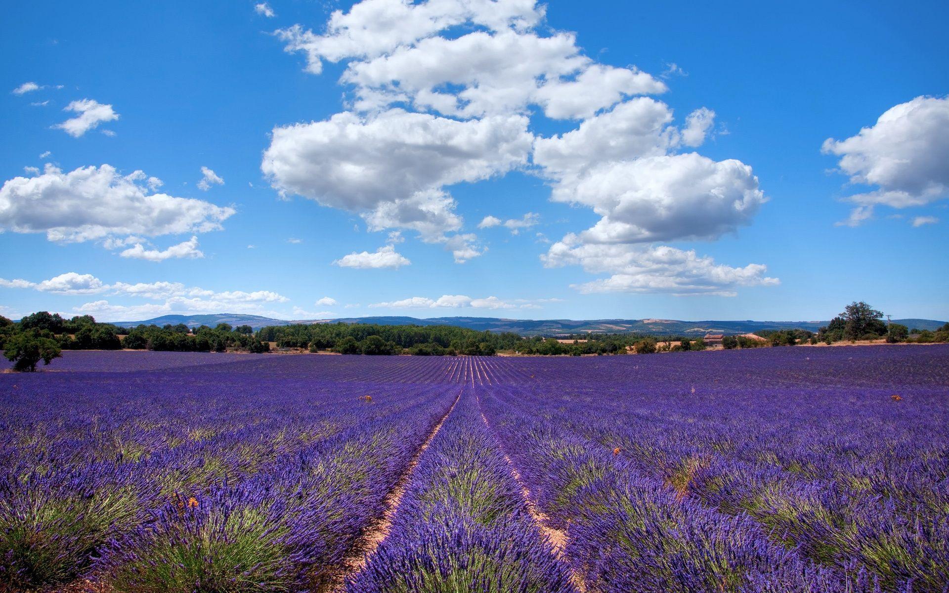 Provence France Wallpapers - Top Free Provence France Backgrounds ...