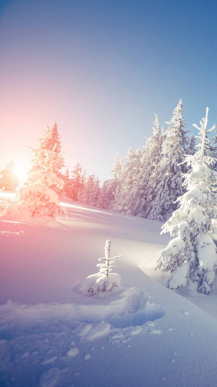Calming Winter Wallpapers - Top Free Calming Winter Backgrounds ...