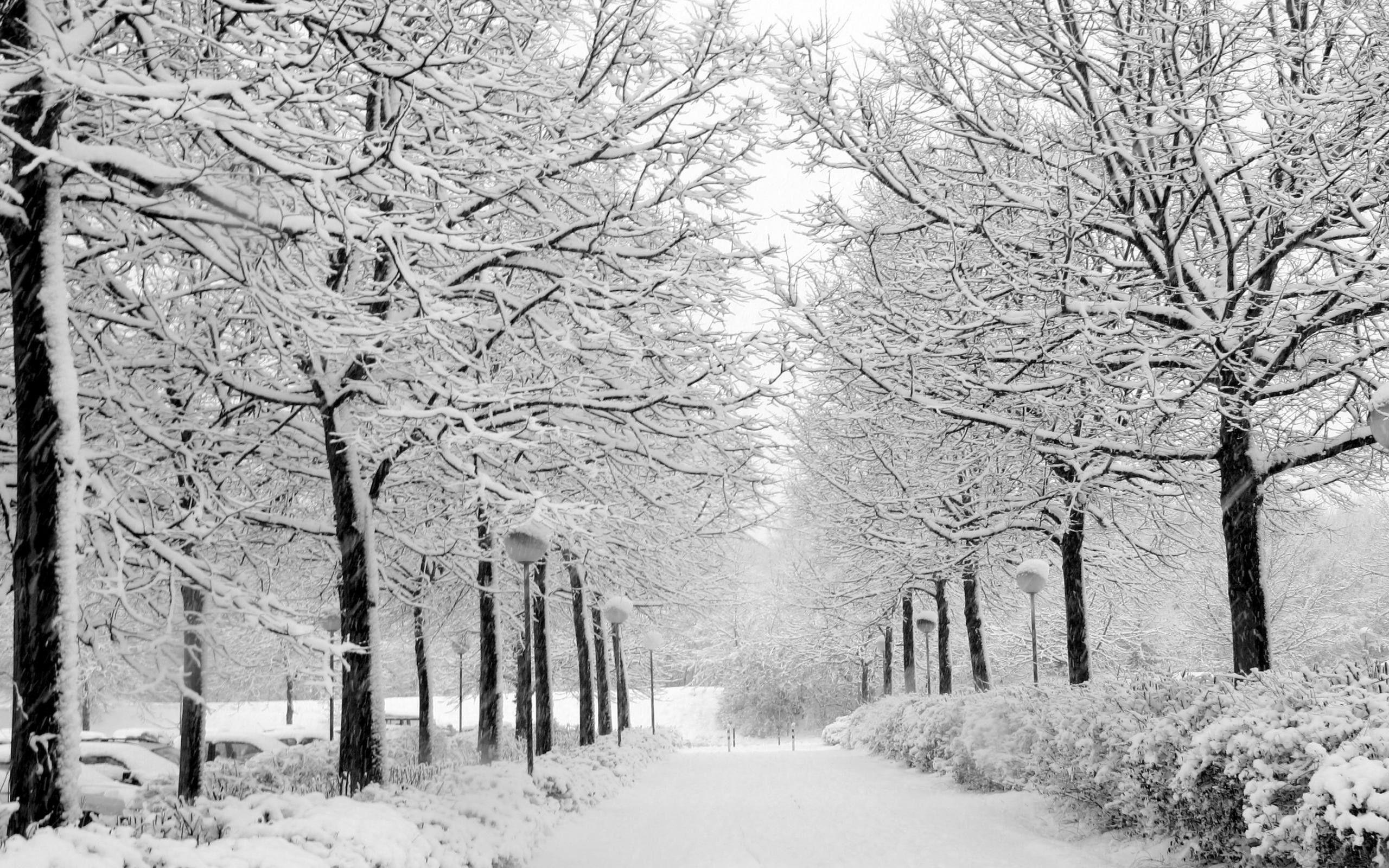 Calming Winter Wallpapers - Top Free Calming Winter Backgrounds ...